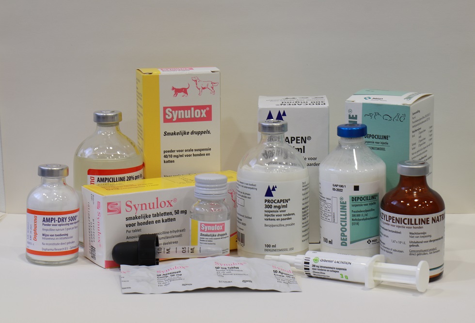 ß-lactam antibiotics