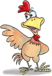 Chicken (Gallus) 2 - Neurula